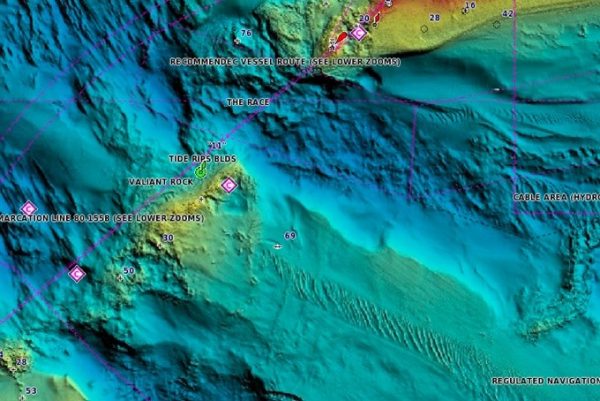 Garmin BlueChart g3 – Navimaps